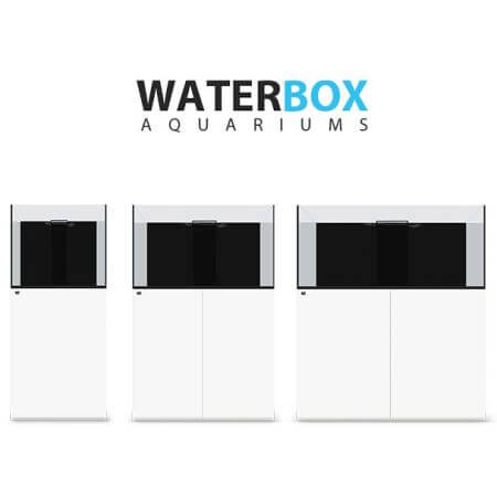 Waterbox Platinum Reef 100.3 | Waterbox reef-aquarium | (Reef) aquariums